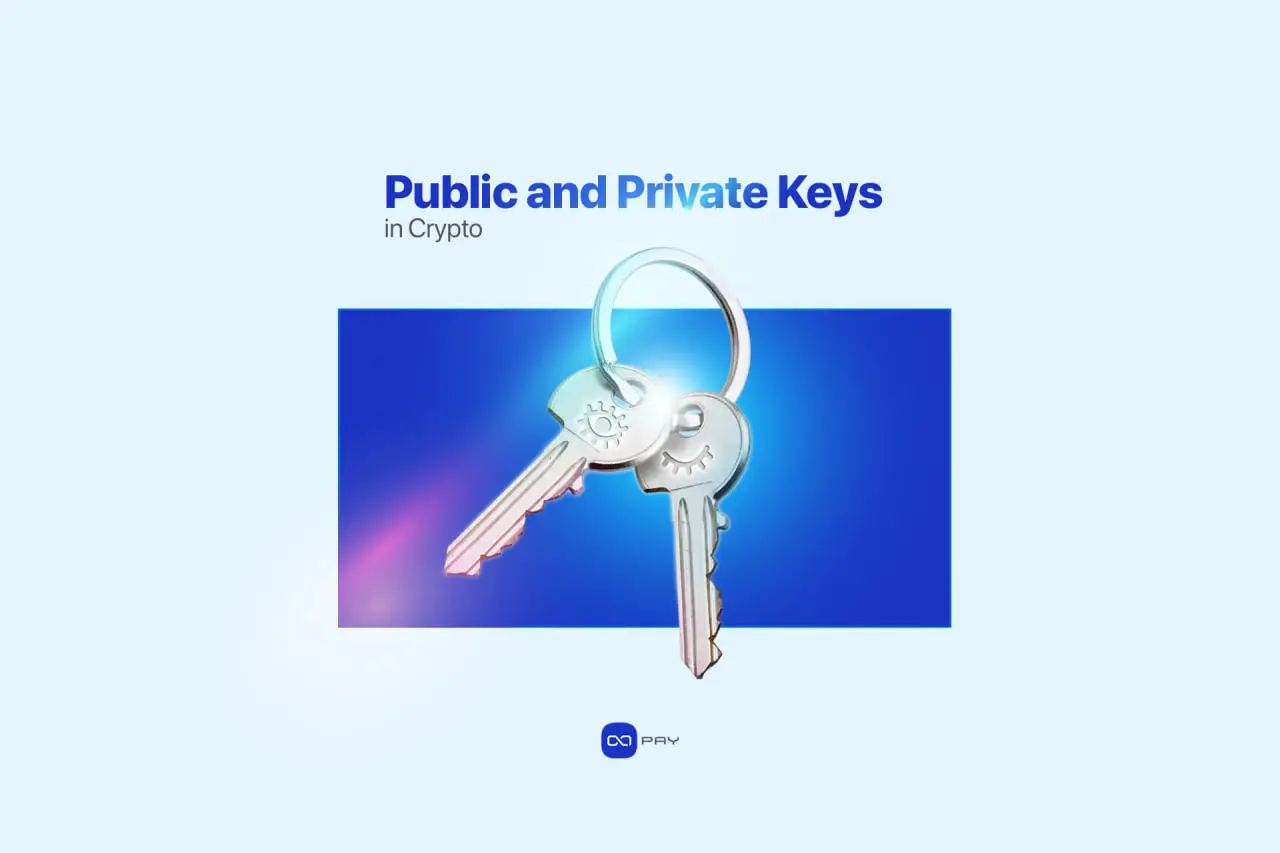 Understanding Public and Private Keys in Crypto
